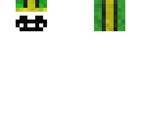 Creepers Helmet | Minecraft Skin