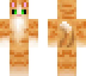 Meeko | Minecraft Skin