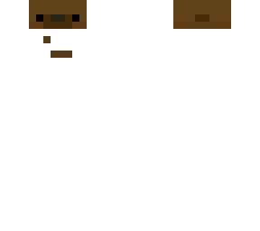 baer head | Minecraft Skin