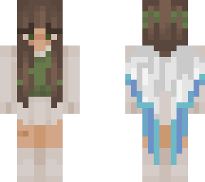 end skin | Minecraft Skin