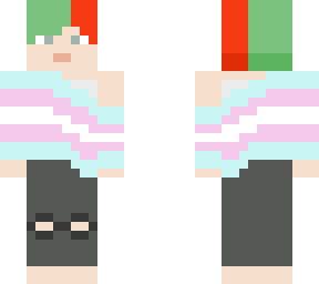 Trans | Minecraft Skins