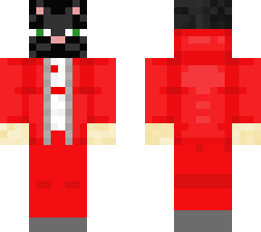 Cat Steve | Minecraft Skins