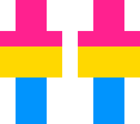 Pan flag | Minecraft Skin