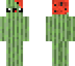 Derp Melon: Request | Minecraft Skin