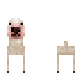 perro del meme | Minecraft Skins