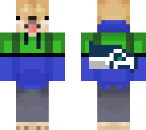 seahawks | Minecraft Skins