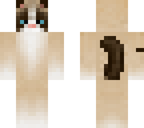 cat meme | Minecraft Skins