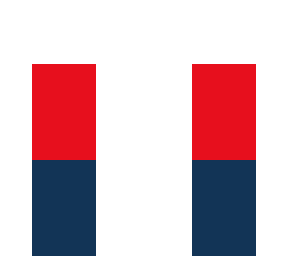 Magnet | Minecraft Skin