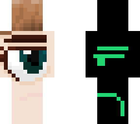 Totally Random but Interesting Facts | Minecraft Skin