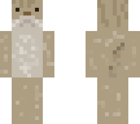 Cat Meme Minecraft Skins