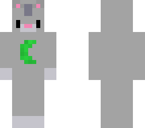 Pickle Cat | Minecraft Skin