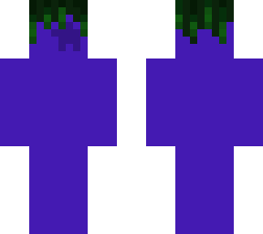 java | Minecraft Skins