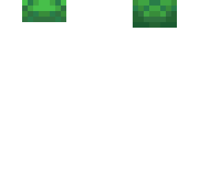 Turtle shell | Minecraft Skin