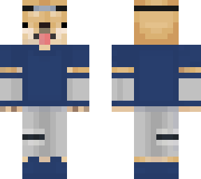 doge | Minecraft Skins