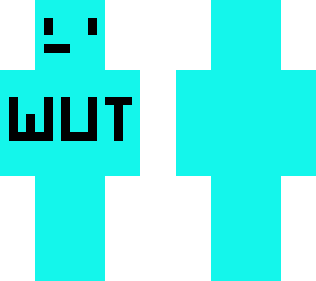 wUt??? | Minecraft Skin