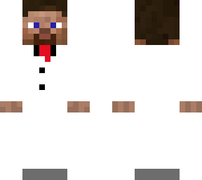 fancy steve | Minecraft Skins