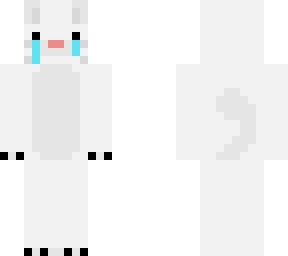 Crying Cat Meme | Minecraft Skin