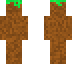 dirt man | Minecraft Skin