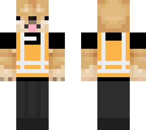 [DSRL] Maintenance | Minecraft Skin