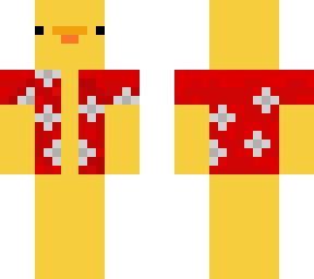 cool duck | Minecraft Skins