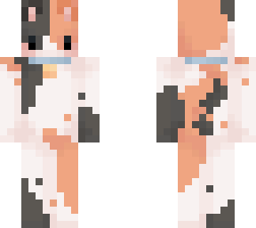 Un Gato Minecraft Skins