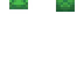 Cooler Turtle Shell Base (Body+Overlay) | Minecraft Skin