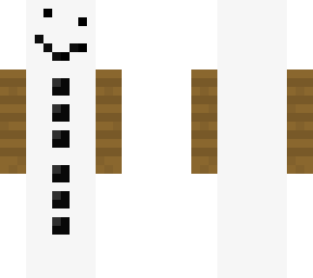 Minecraft Snow Golem Head