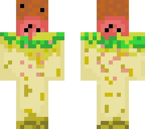 burrito | Minecraft Skins