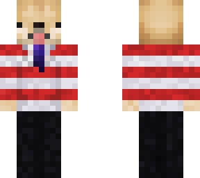 usa skin | Minecraft Skin