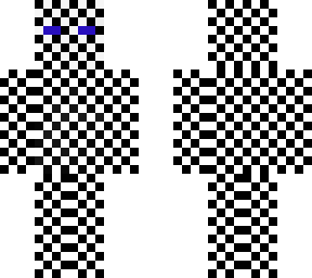 Checker Skin | Minecraft Skin
