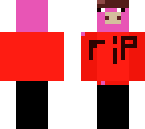 technoblade rip | Minecraft Skin