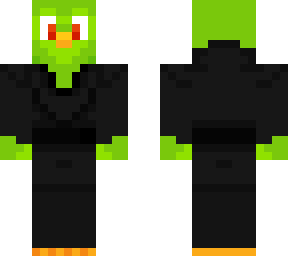 duolingo skin | Minecraft Skins