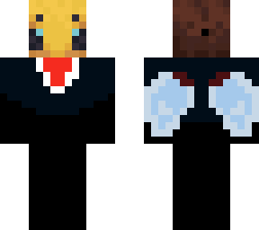 Fancy Minecraft Skins