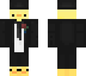 Ducks Minecraft Skins