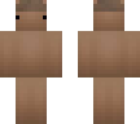 Acorn Skin | Minecraft Skin