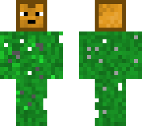 toast | Minecraft Skin