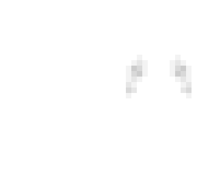 wings | Minecraft Skins