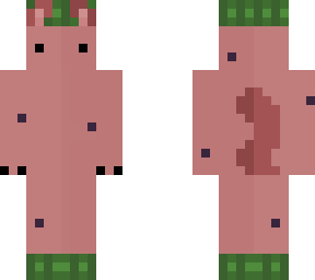 ~ Watermelon Cat ! ~ | Minecraft Skin