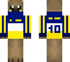 floppa | Minecraft Skins