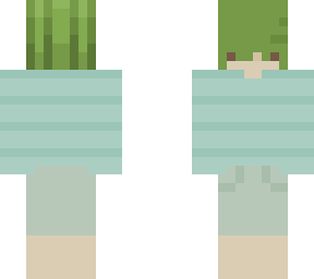backwards skin | Minecraft Skins