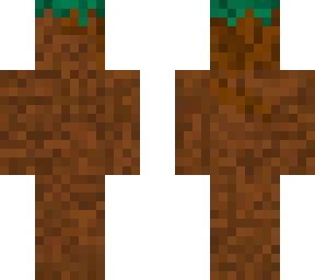 block | Minecraft Skins