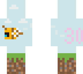 1 pixel | Minecraft Skins