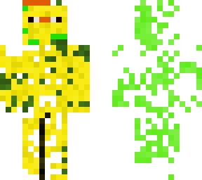 Shower Minecraft Skins