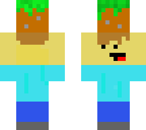 Dirt Block Skin Minecraft Skins