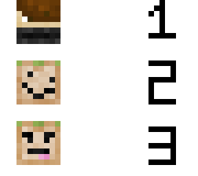Pfp Minecraft Skins