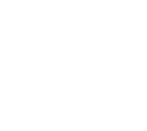 completely blank skin | Minecraft Skin