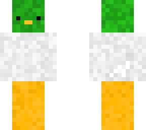 Matching Duck | Minecraft Skin