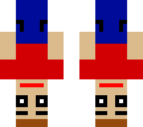 Upside Down Minecraft Skins