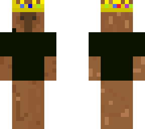el capybara | Minecraft Skins