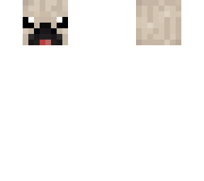 Pug head | Minecraft Skin
